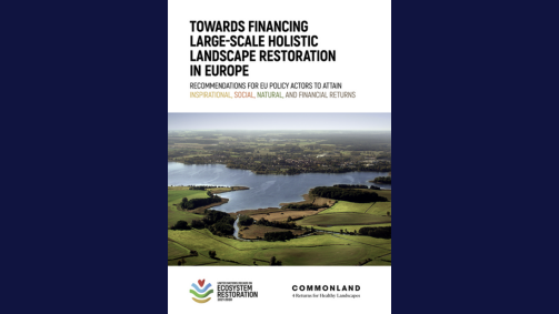 Towards financing large-scale holistic landscape restoration in Europe ...