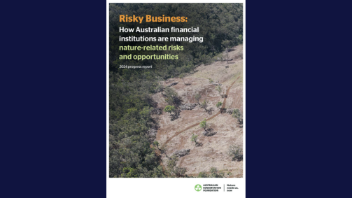 Risky business: How Australian financial institutions are managing nature-related risks and ...